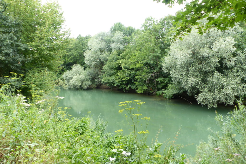 Parc de Noisiel : une balade nature en Seine-et-Marne